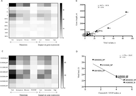 Distribution Of Mutation Frequency And Correlation With Gene Length Or