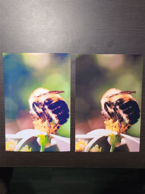 Cvs Vs Local Photo Shop Raskphotography