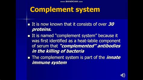 Complement System 1 Youtube