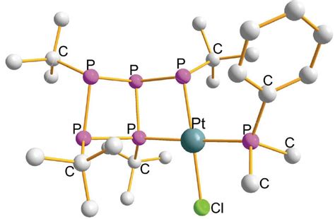 Structure of Pt η² ButP¹ PBut 2PP²But P³ Me 2Ph Cl Gomez Ruiz et Download Scientific