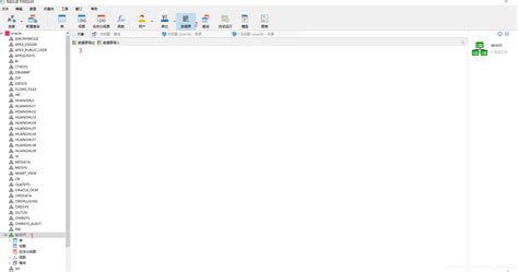 Oracle使用命令行导入及navicat Premium 15连接工具数据泵导出及导入dmp文件详细步骤navicat数据泵需要