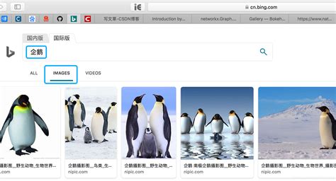 只用20行python代码爬取必应高质量图片 python 从必应中提取图片 csdn博客