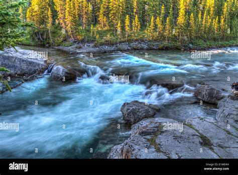 Scenic Elbow Falls In Kananaskis Country Elbow Falls Alberta Canada