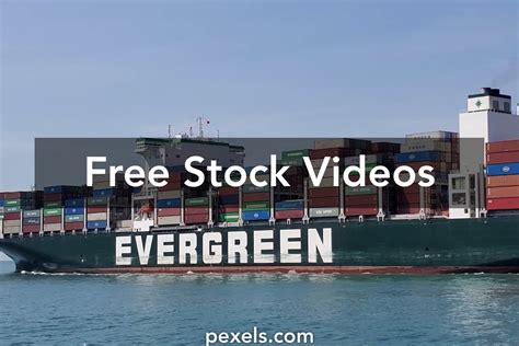 Evergreen Container Videos Download The Best Free 4k Stock Video Footage And Evergreen Container