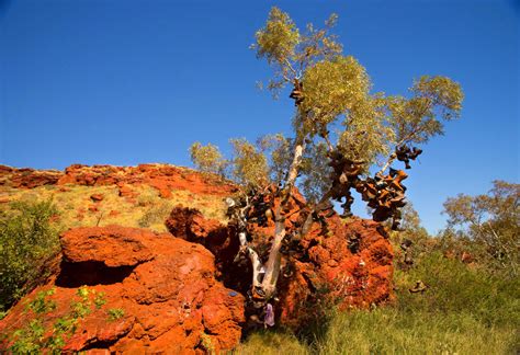Pannawonica Visit Ashburton