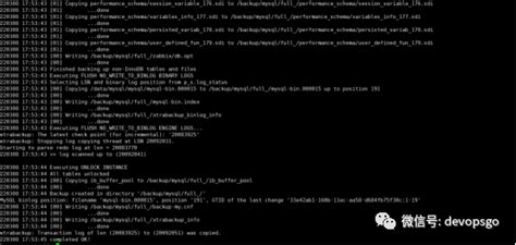 Mysql80之xtrabackup故障恢复实战 墨天轮