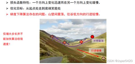 深度学习相关概念：动量法与自适应梯度 动量自适应 csdn博客