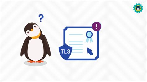 Troubleshooting Unacceptable TLS Certificate Error In Linux