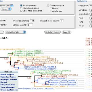 Conceptual Data Schema For DWARF Using Logical Data Structure LDS Download Scientific