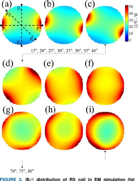 Figure 3 From Design Of Rotated Surface Coil Array For Multiple Subject