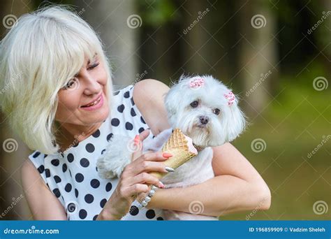 Almost Sharp Photo An Adult Woman Seduces A Maltese Lapdog With Ice