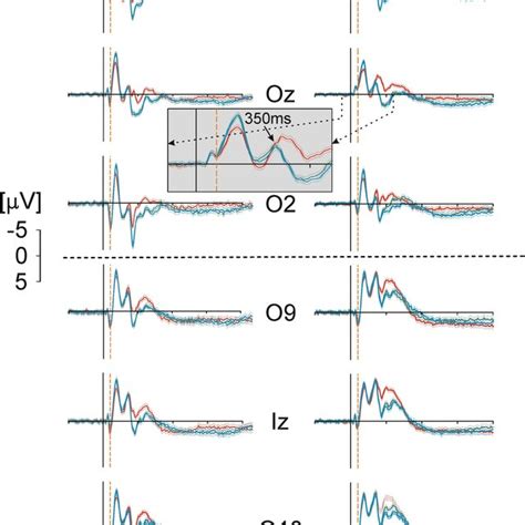 Ac Experimental Design A Subjects Right‐handed Rh Or