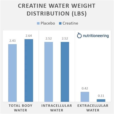 Does Creatine Make You Gain Weight Body Composition Analysis