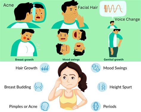 Learn About The Stages Of Puberty In Boys Artofit
