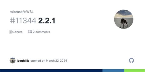 Microsoft WSL Discussion GitHub