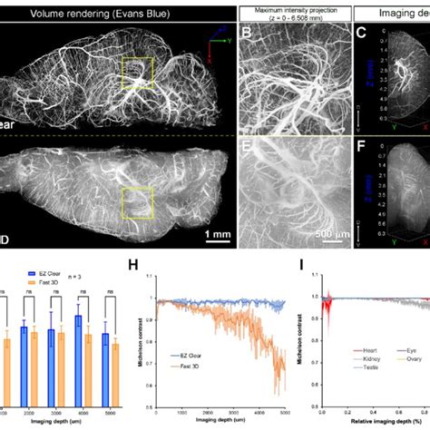 Quantitative Comparison Of Fluorescence Intensity And Contrast Between