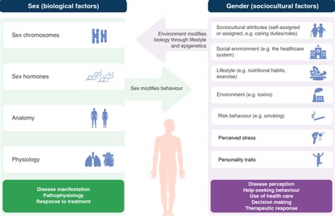 Sex And Gender Differences In Intensive Care Medicine Intensive Care Hamid Merdji