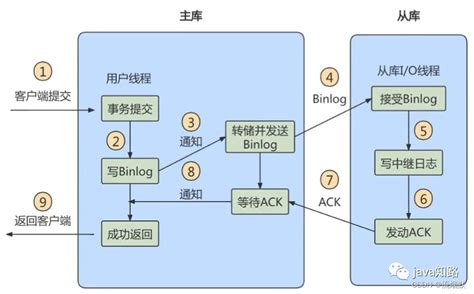 认真研究mysql的主从复制 阿里云开发者社区