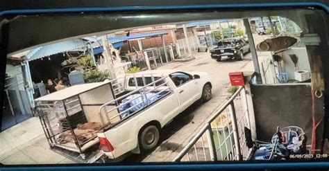 รวมรูปภาพของ พิตบูล 4 ตัว ถูกเจ้าของขังไว้ในบ้าน หิวโซกัดกันจนตาย เพื่อนบ้านทั้งเหม็นทั้งหนวกหู