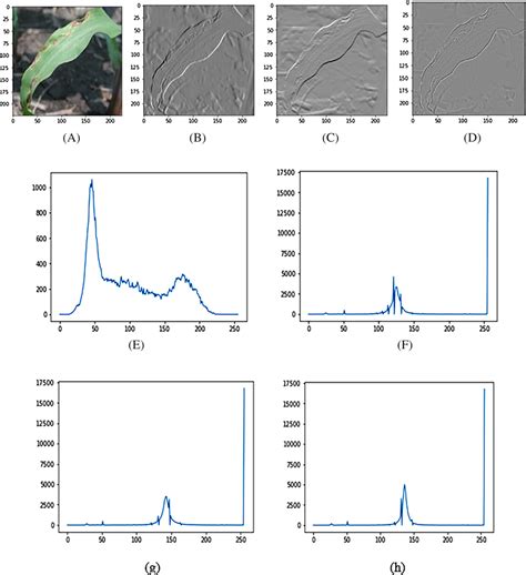 effect of image region‐based segmentation a original image b d