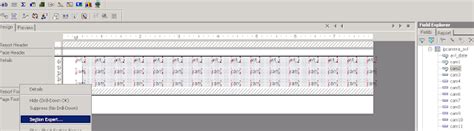 Crystal Report Show Data Horizontally Left To Right Ie Columns As Rows