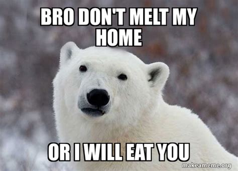 Bro Dont Melt My Home Or I Will Eat You Popular Opinion Polar Bear