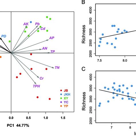 A Constrained Analysis Of Principal Coordinates Cap Based On