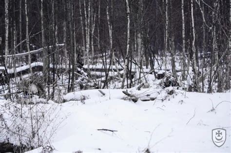 Can You Spot The Sniper Hiding In These Photos Petapixel