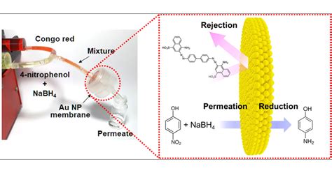 Self Assembled Nanoparticles Supported On Polycarbonate As Size Selective Membranes For