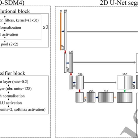model architecture summary for the 2d detection 2d sdm4 and the 2d
