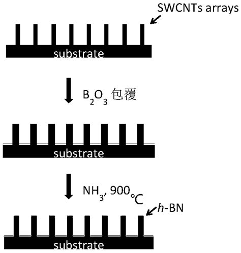 Boron Nitride Coated Carbon Nanotube And Preparation Method And Application Thereof Eureka