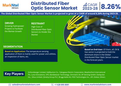 Infographics Distributed Fiber Optic Sensor Market Size Share Analysis Forecast 2023 28