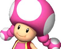 Filemp8 Toadette Character Turn Spritepng Super Mario Wiki The