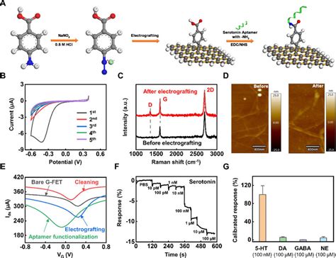 Electrografting Of Cooh Group And Functionalization Of G Fet With