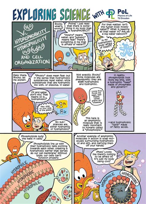 Pol Physics Of Life News And Events Highlights