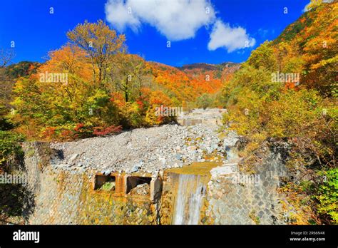 Erosion And Deposition Mr Mamontoff