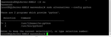 Install Python And Openssl On Red Hat Linux