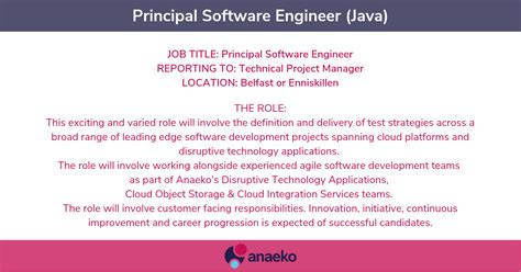 principal software engineer java job at anaeko
