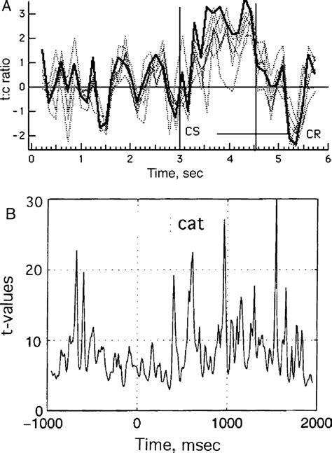 Neocortical Eeg Lacked The Burst Structure Of Paleocortical Eeg That