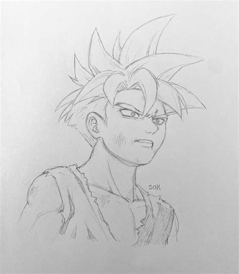 Overview For Redario