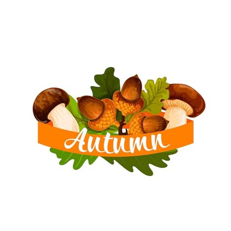Premium Vector Autumn Harvest And Leaf Fall Vector Poster