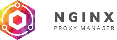 How To Fix Nginx Manager Certbot Dns Cloudflare Internal Dns Cloudflare Plugin Error