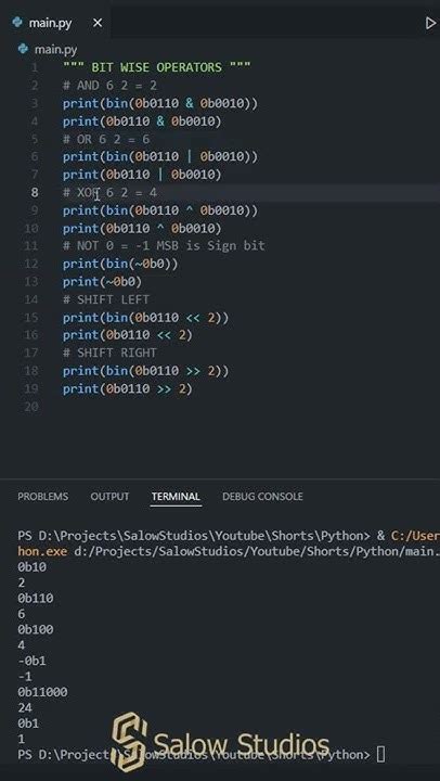 Bitwise Operators In Python Shorts Coding Interview Youtube
