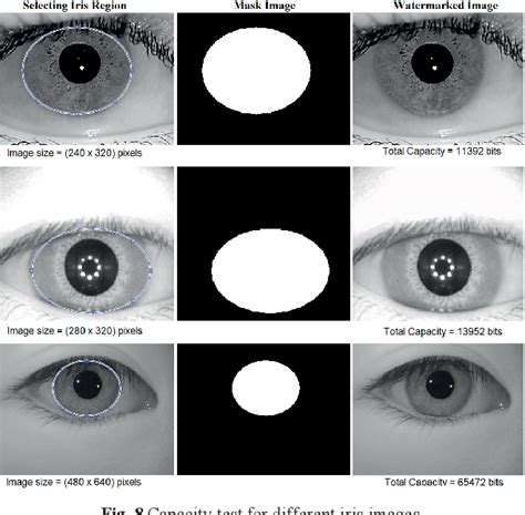Figure 8 From Multi Biometric Watermarking Scheme Based On Interactive Segmentation Process