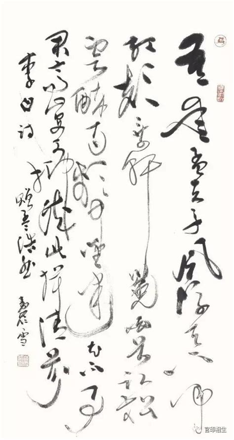 詩人秦嶺雪書法近作 每日頭條