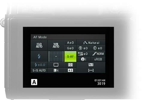 Myolympus Tutorial E M1