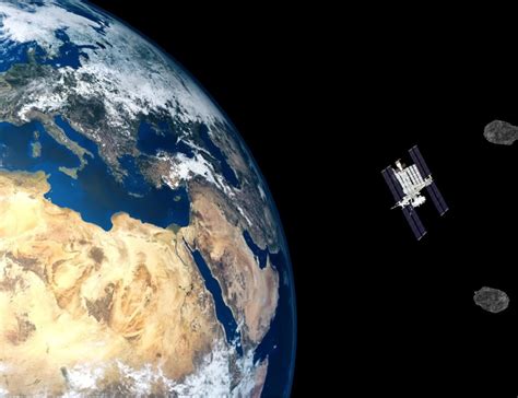 Rotifers What Are Characteristics Types And Examples Evidence Network