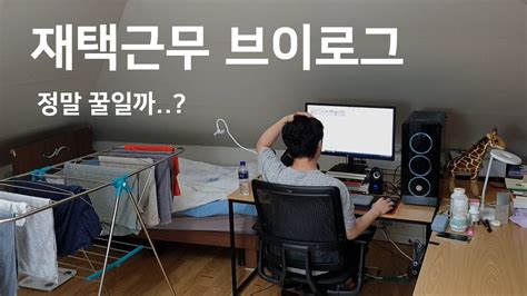 재택근무 정말 꿀일까 재택근무하는 30대 직장인 브이로그 Youtube