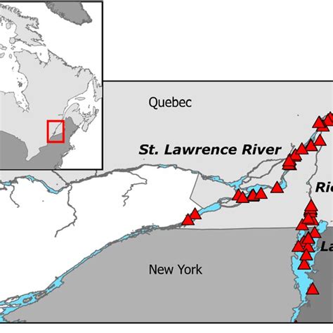 Spatiotemporal Patterns In Genetic Structuring For Tench Tinca Tinca