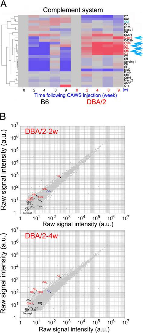 Expression Profiling Of Microarray Data For Complement System Genes Download Scientific Diagram